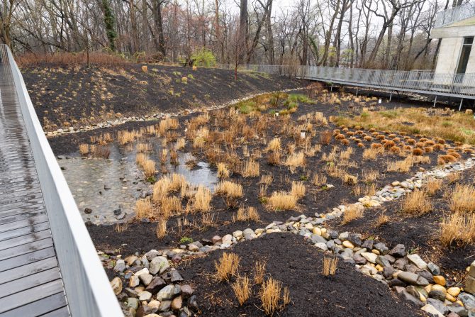 EPA Chesapeake Bay Program awards historic amount of funding to grant ...