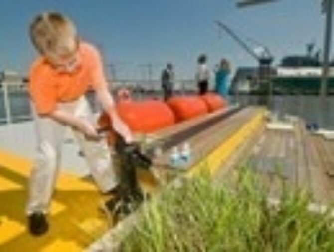 Watershed Wednesday: Elizabeth River Project (Portsmouth, Virginia)