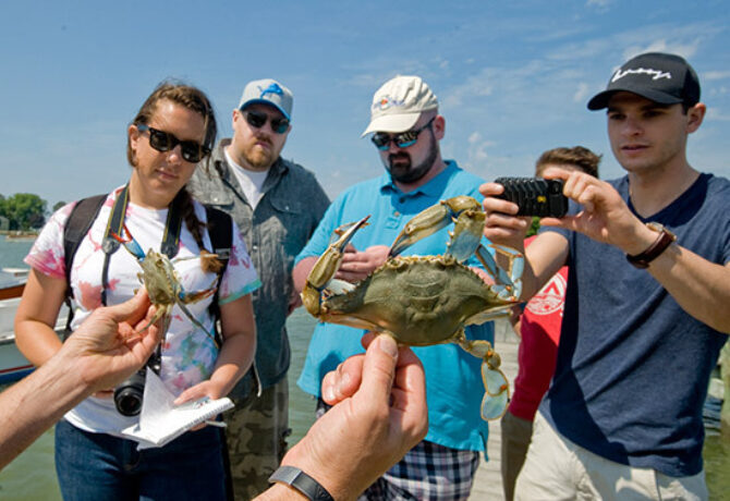 Maryland Department of Natural Resources links watermen with chefs