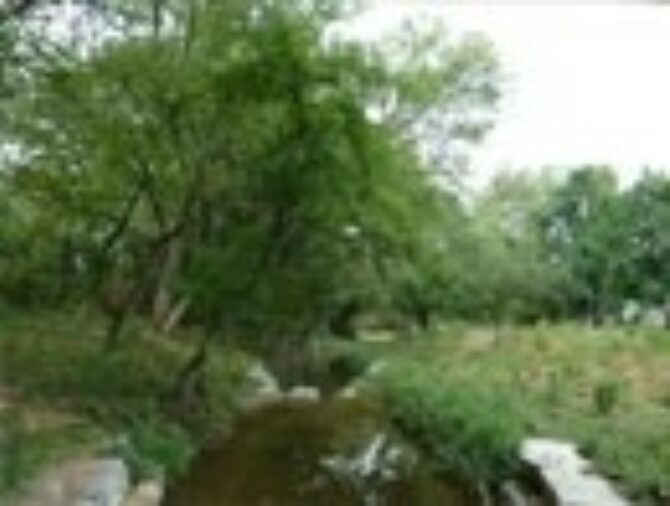 Restoration of urban stream has big impact on D.C. economy