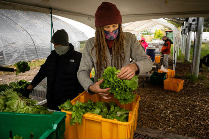 An urban farm is filling space left uninhabitable by increased flooding