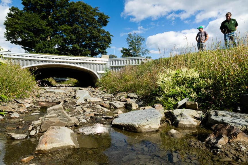 A friend to the Chesapeake Bay restores brook trout habitat in the ...