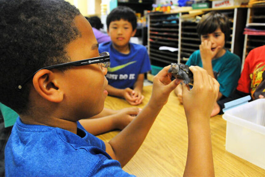 You can help shape the future of Chesapeake Bay restoration