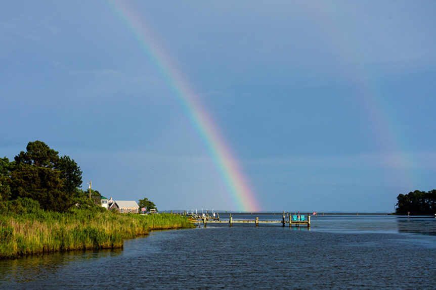 Chesapeake Bay’s health declines slightly but remains on the right ...