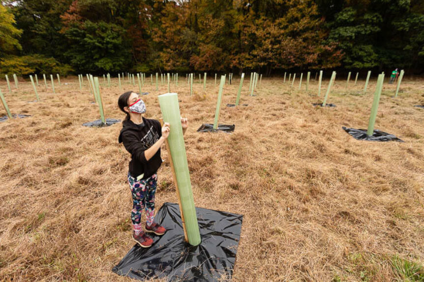 Is the Chesapeake Bay’s water rising or is the land sinking?