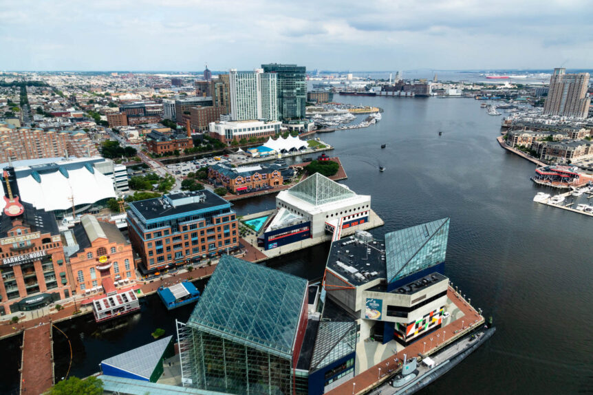 Baltimore’s floating wetlands are bubbling with life