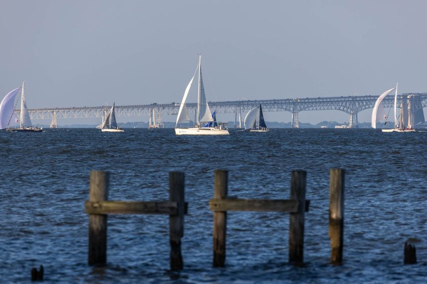Chesapeake Bay Water Quality Shows Mixed Results