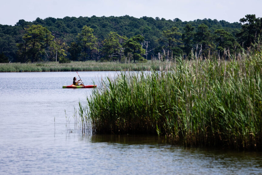 Chesapeake Executive Council Approves Revised Watershed Agreement ...