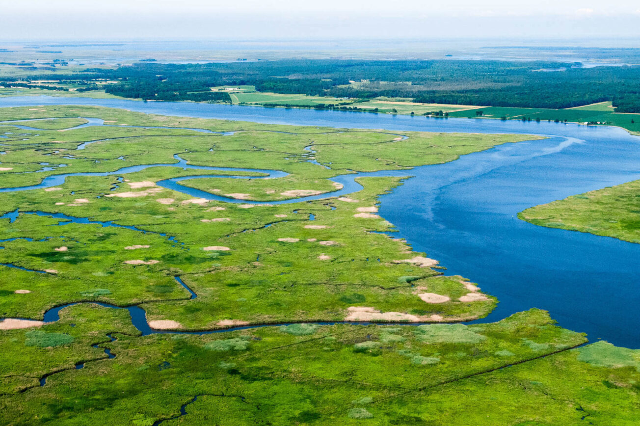 The Watershed
