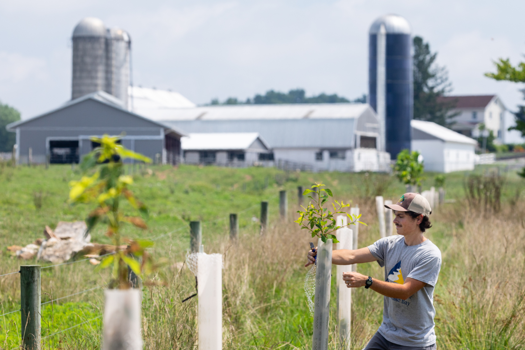 10 reasons to be hopeful about the Chesapeake Bay in 2024