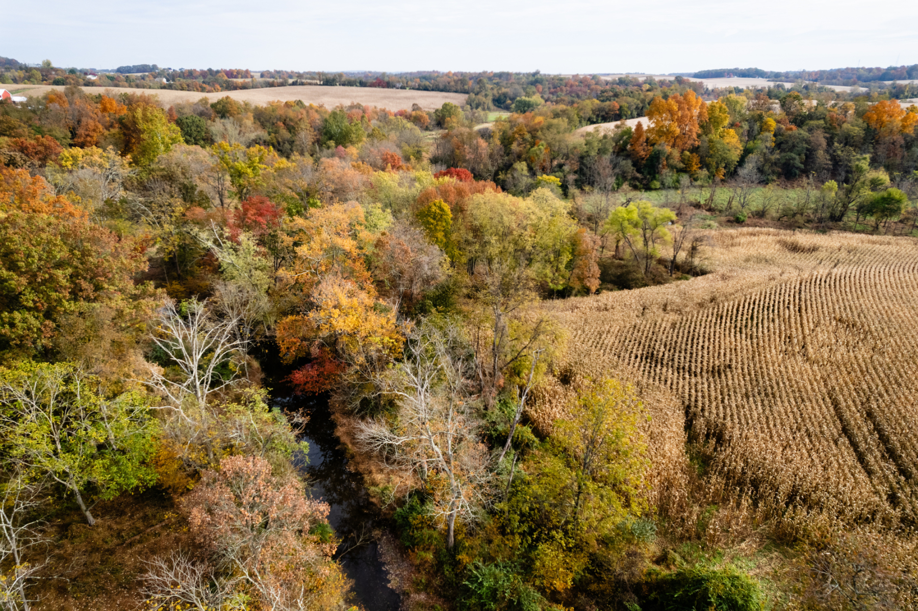 10 reasons to be hopeful about the Chesapeake Bay in 2024