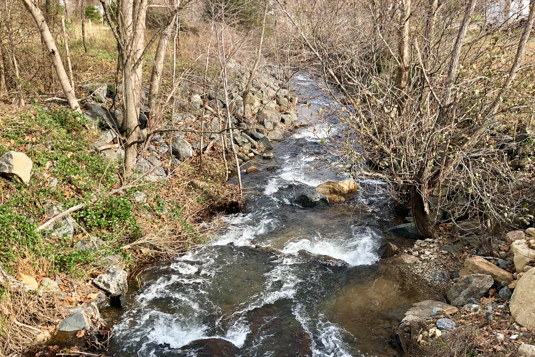 A friend to the Chesapeake Bay restores brook trout habitat in the ...