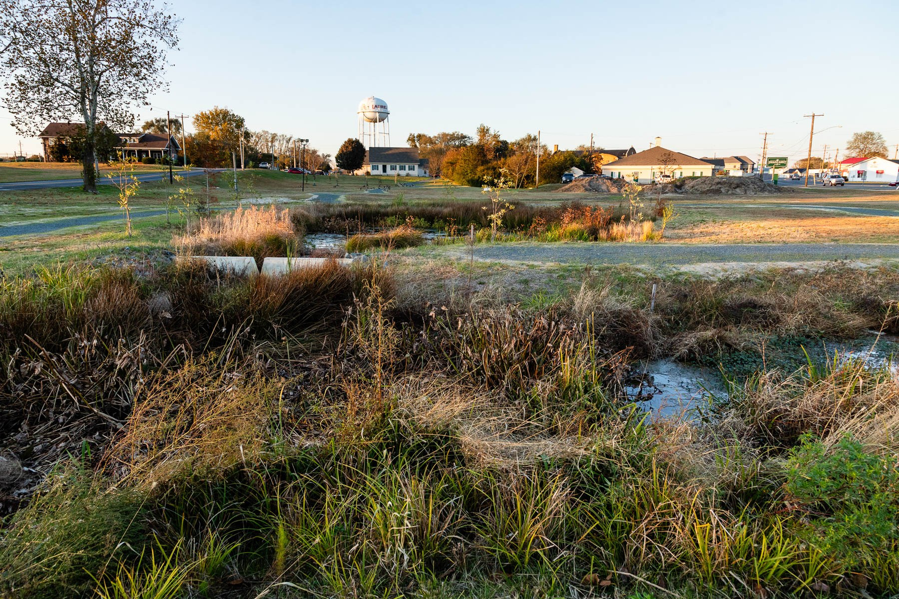 Seven successes show there’s more than one way to restore a wetland