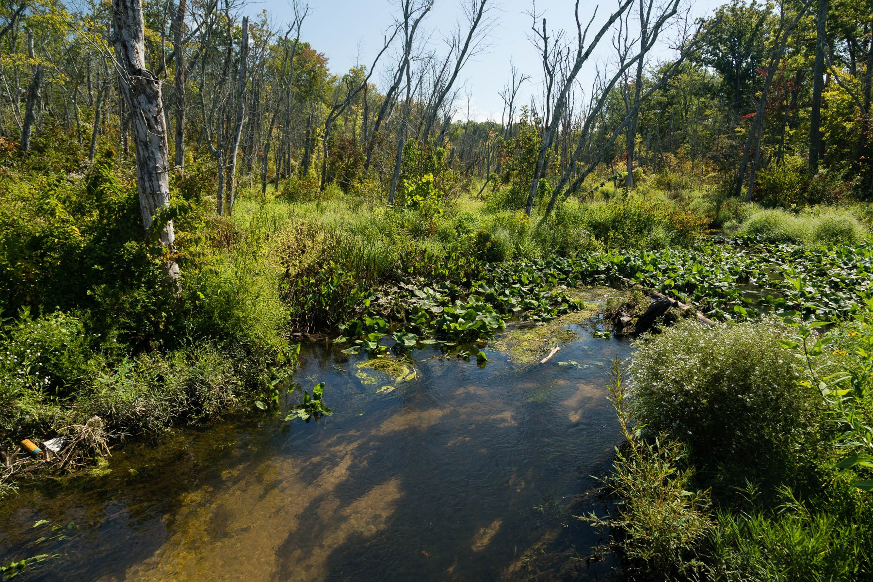 Six sites throughout the watershed that honor lands once occupied by ...