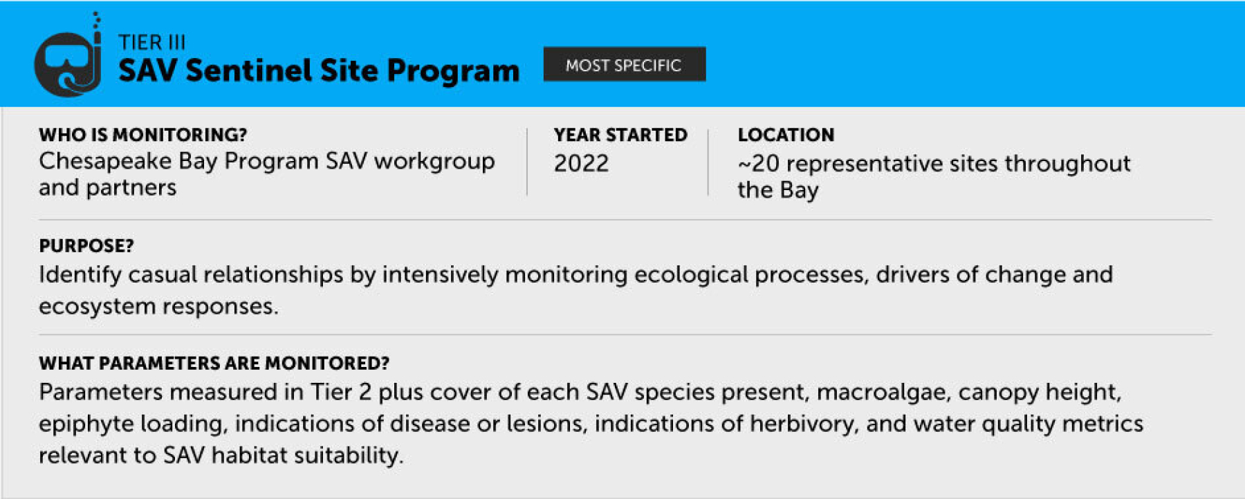 SAV Monitoring Program