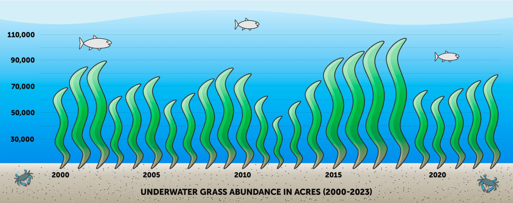 Underwater Grasses