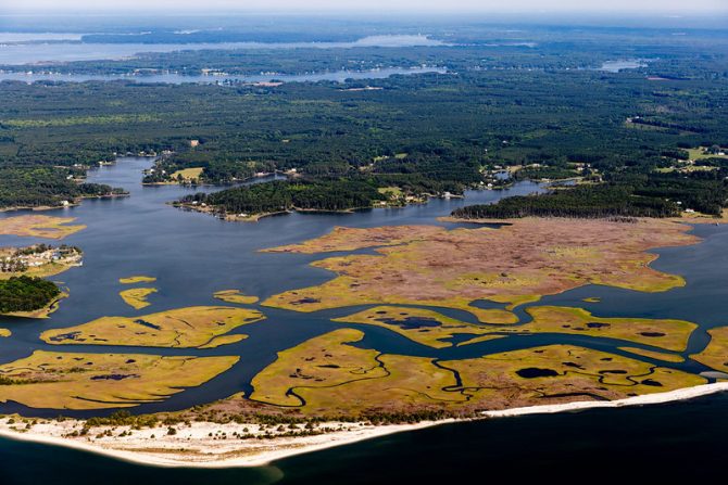 Celebrate the unsung heroes of the watershed during Chesapeake Bay ...