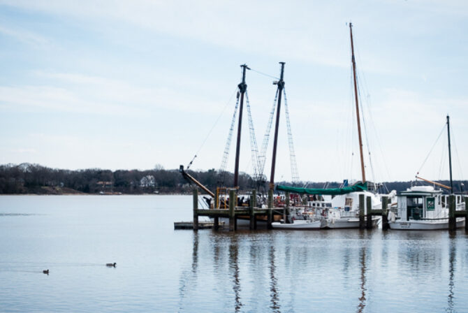 Chester River receives “C+” on latest report card