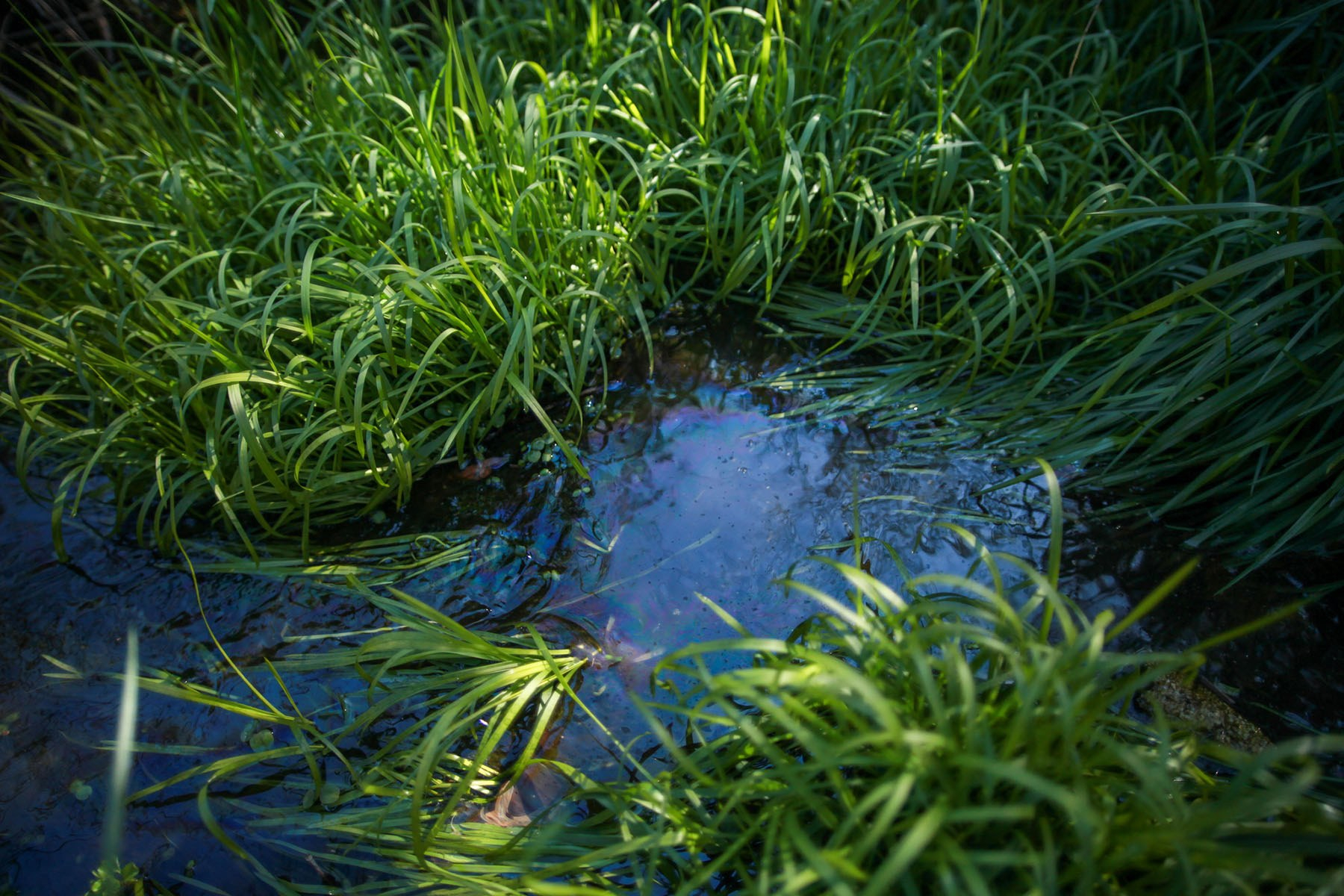 Groundwater