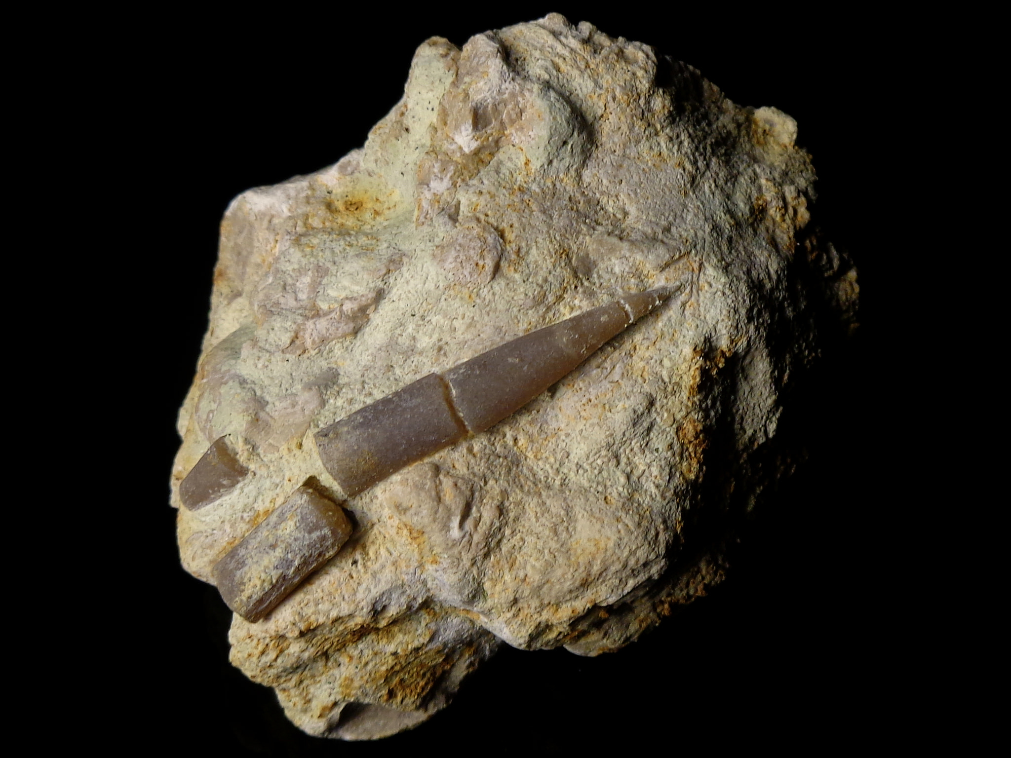 Take a geologic history tour at these eight sites