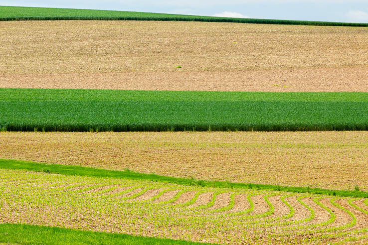 Chesapeake Bay Program