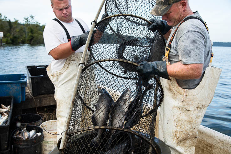 Chesapeake Bay Program
