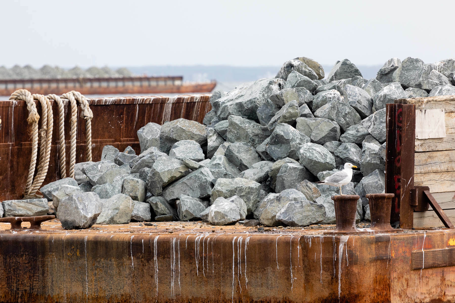 Poplar Island restoration gives Chesapeake new life | Chesapeake Bay ...